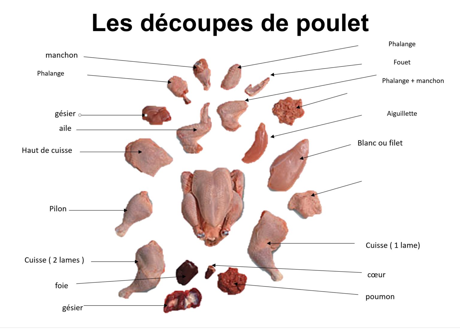 Le poulet - Cuisine-Passion.net