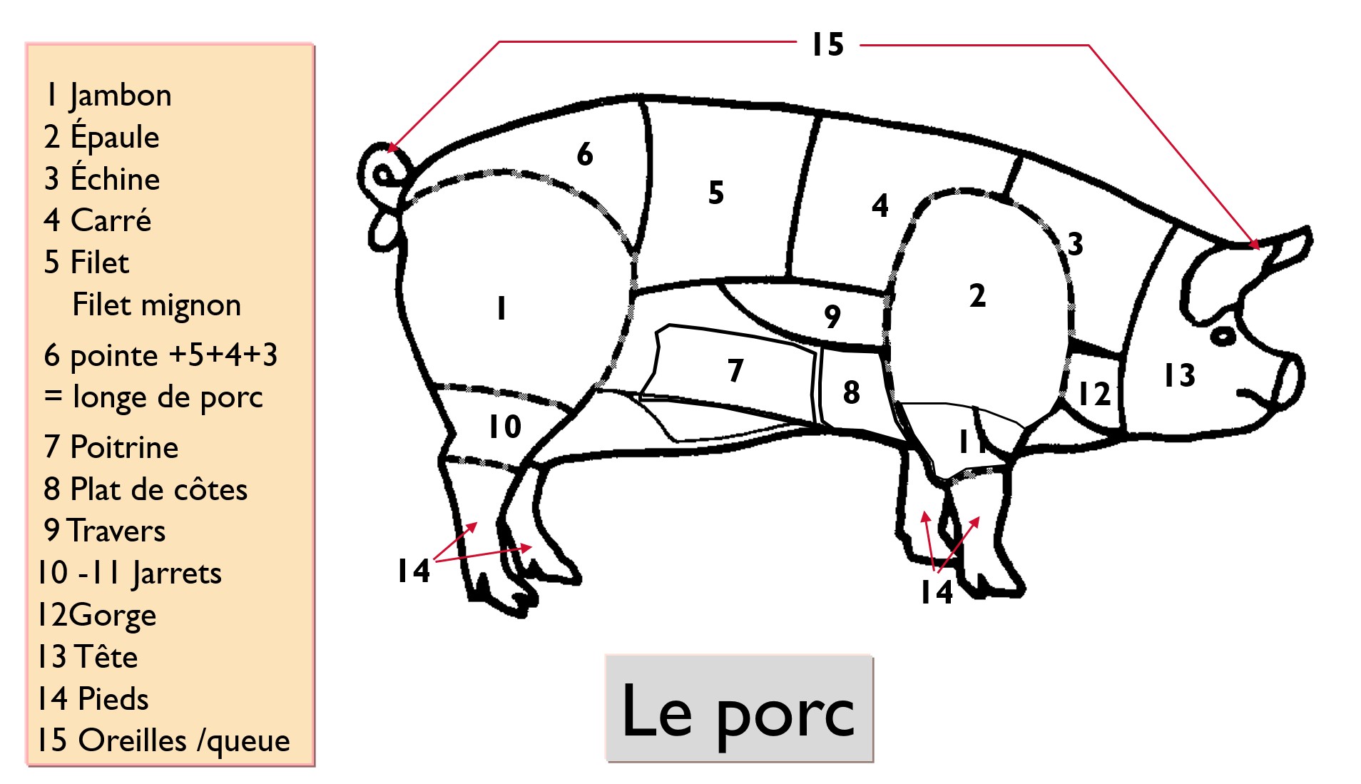 Le porc, ses caractéristiques et ses découpes - Cuisine Passion